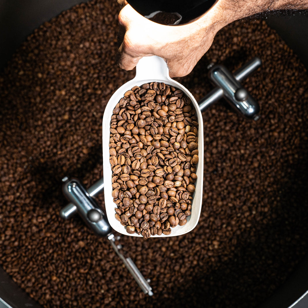 Best Coffee Roasters in Abu Dhabi, Dubai | Beans Roastery Company UAE ...